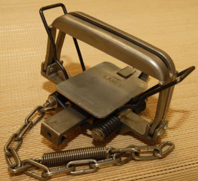 Lanes Traps Australia