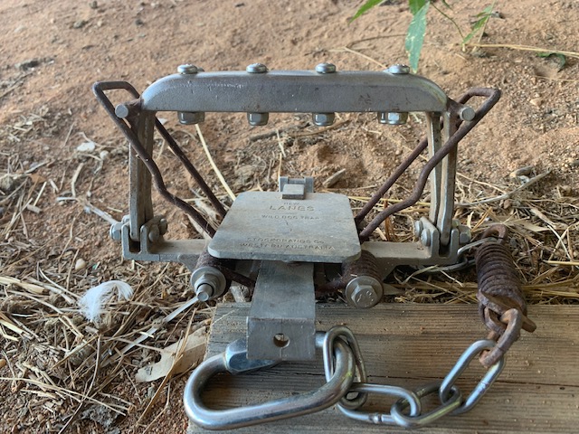 Lanes Traps Australia